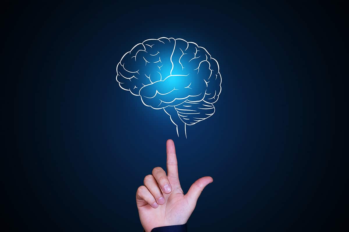 El poder del Aprendizaje Profundo Estructurado en la Inteligencia ... El poder del Aprendizaje Profundo Estructurado en la Inteligencia ...